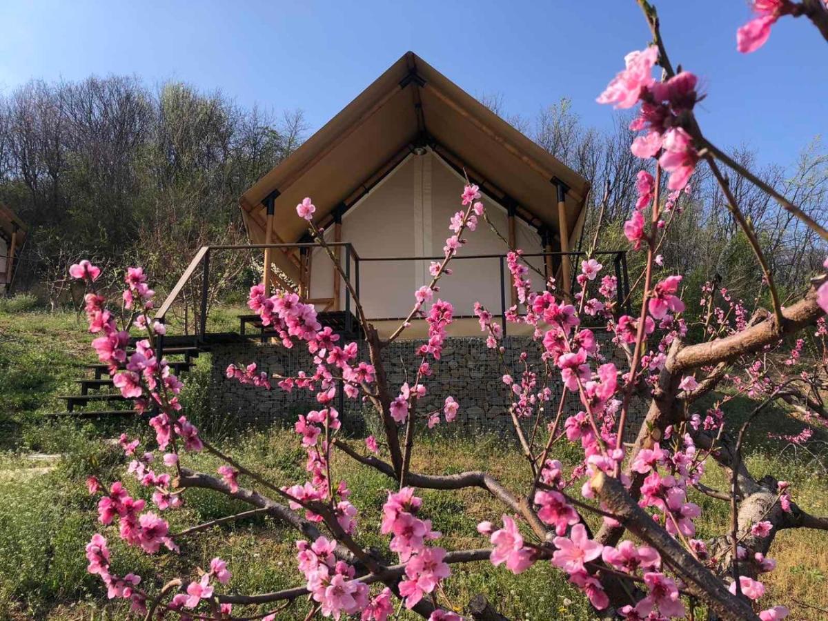 Serbia's first luxury glamping resort - Balkanlocals